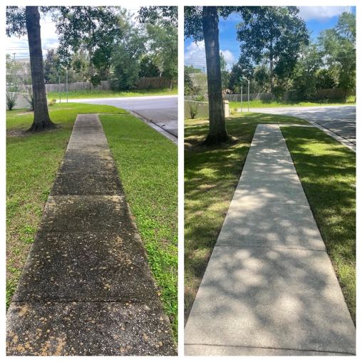 Residential Soft Washing in Mobile | Delta Softwash